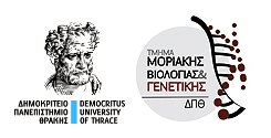 Εργαστήρια – Επιτροπή Ερευνών Δ.Π.Θ.